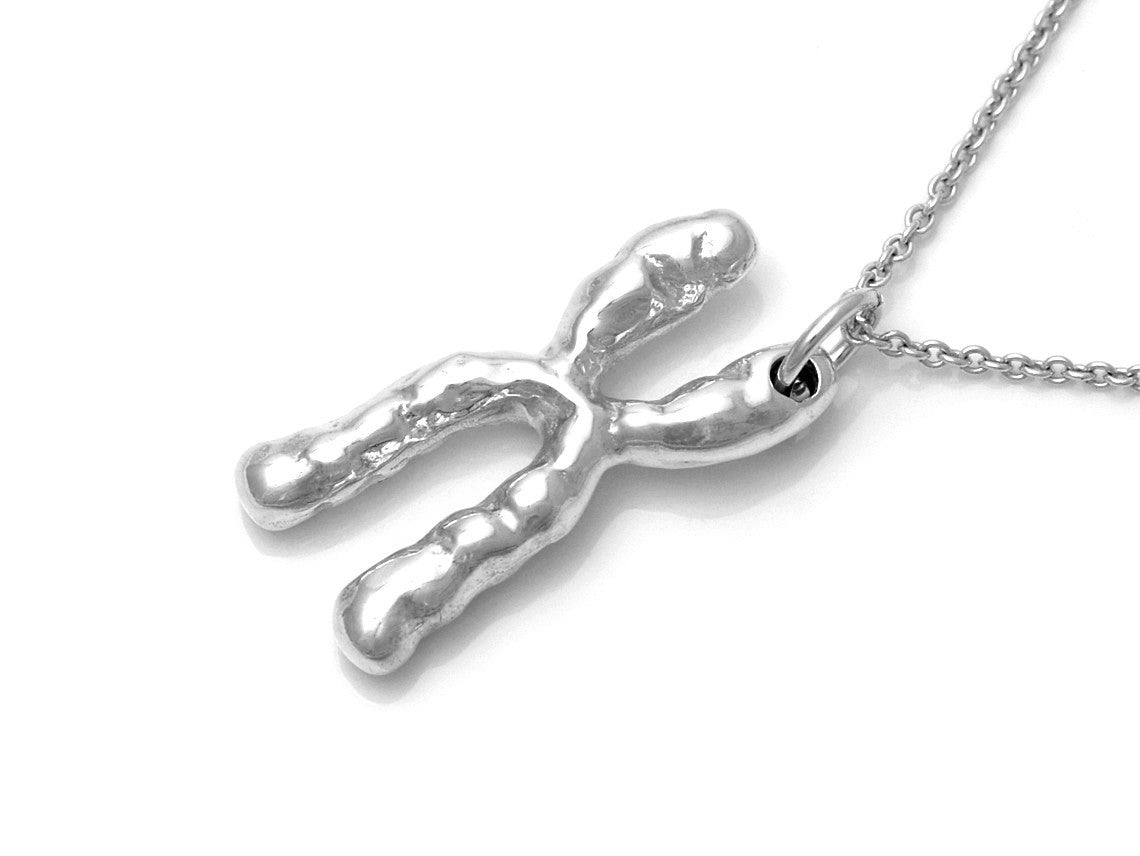 X Chromosome Necklace, DNA Genetics Jewelry in Sterling Silver – Farjil